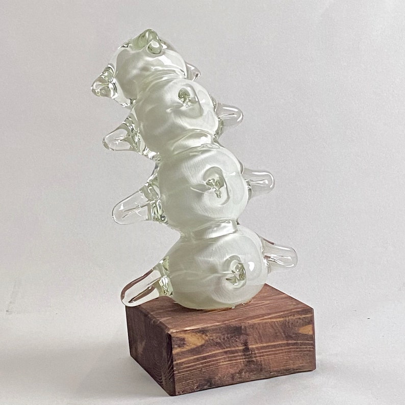 Solid Glass Spine Sculpture Award Neurosurgeon. Gift Hand - Etsy