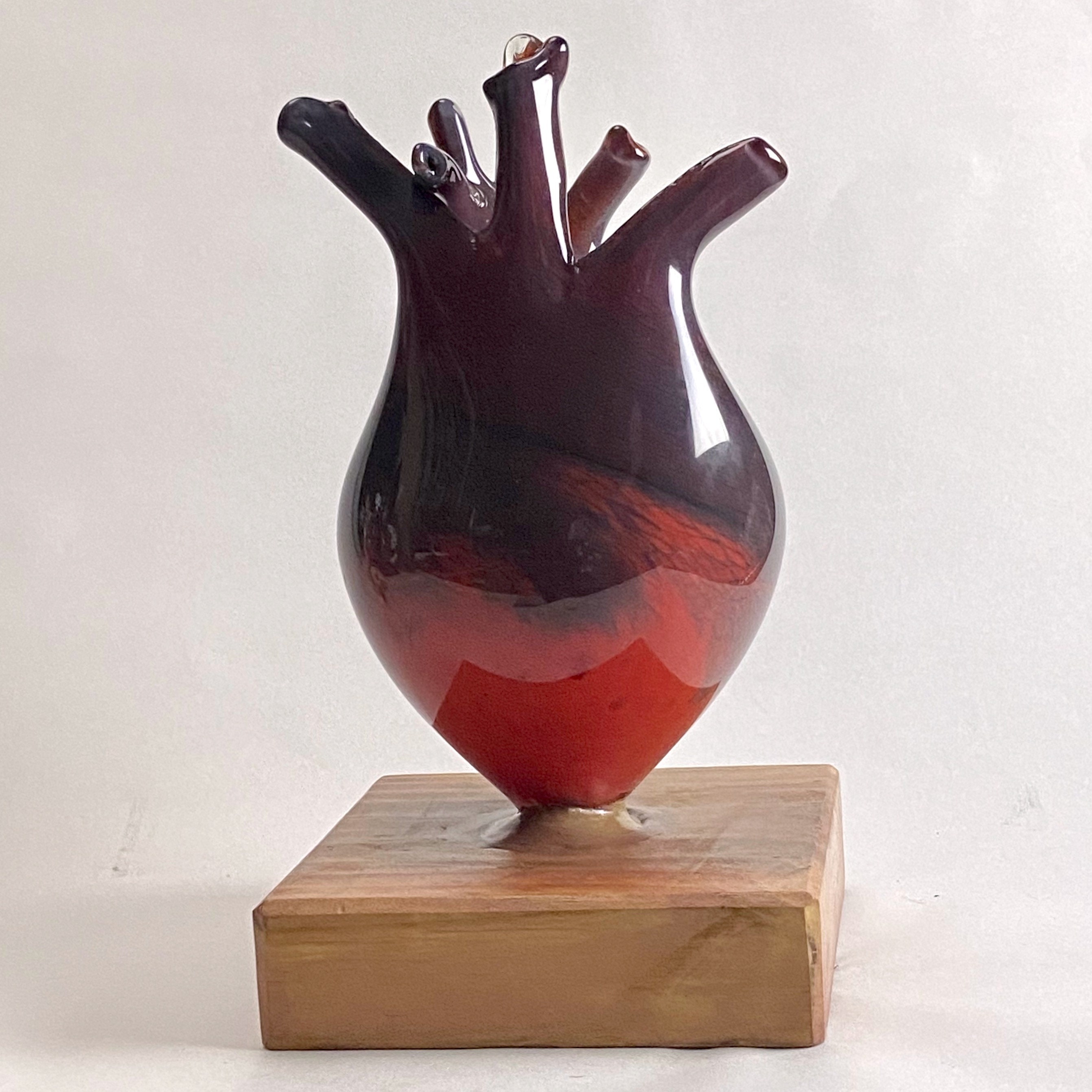 Hand Blown Anatomical Glass Heart, Cardiologist, Doctor Gift, Award - Etsy