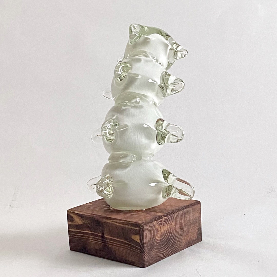 Hand Blown Glass Spine Sculpture: Neurosurgeon Gift, Award - Etsy