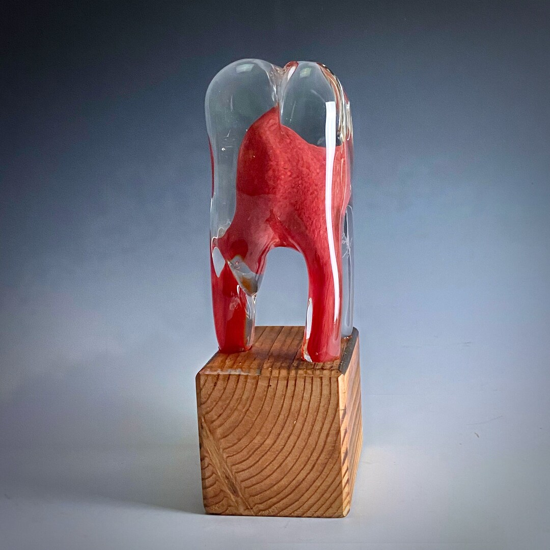Hand Blown Glass Tooth With Red Nerve Interior, Dentist Orthodontist ...