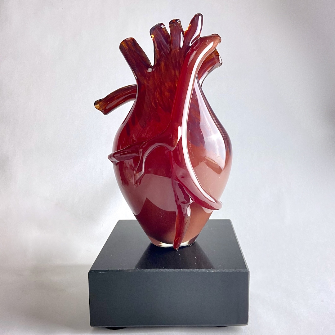 Hand Blown Anatomical Glass Heart, Cardiologist, Doctor Gift, Award - Etsy
