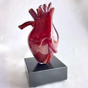 Hand Blown Anatomical Glass Heart, Cardiologist, Doctor Gift, Award - Etsy