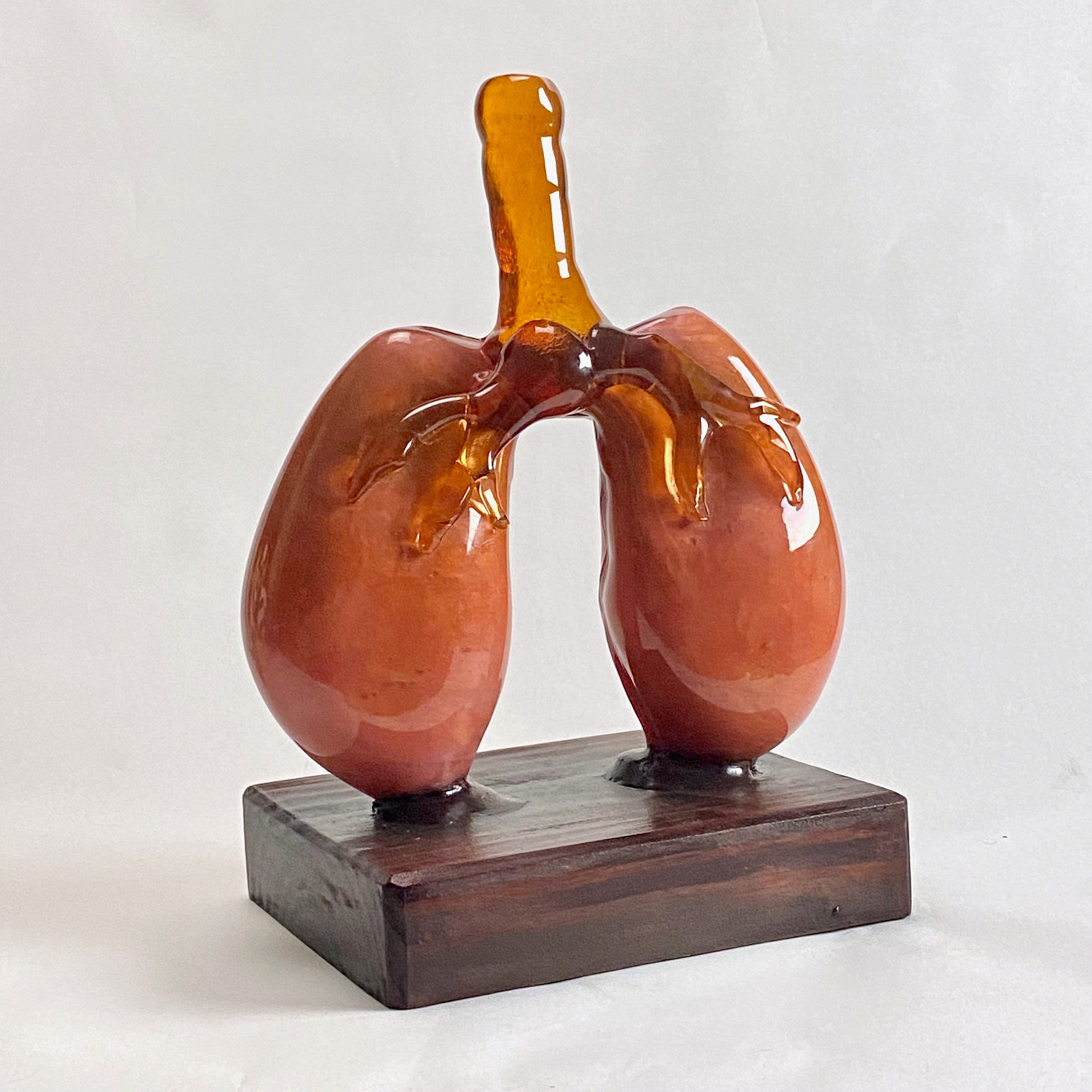 Solid Glass Liver Sculpture, Award, Hepatologistgift, Hand Blown Glass ...