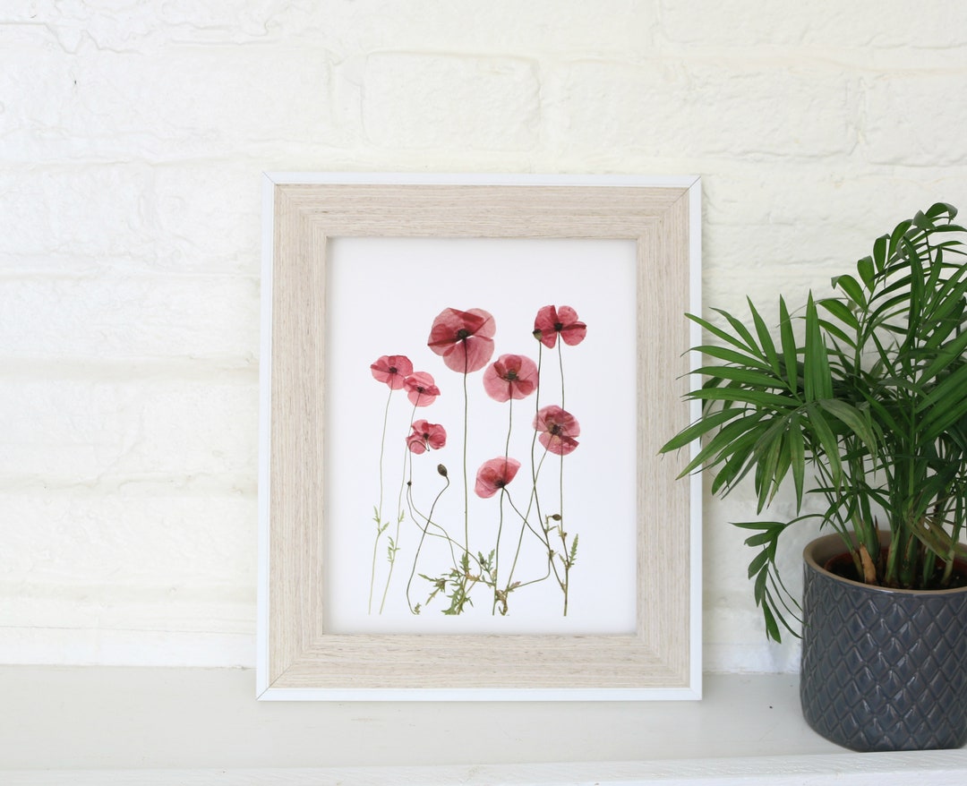 Giclee Print of Real Pressed Red Poppies Remembrance Day Gift - Etsy
