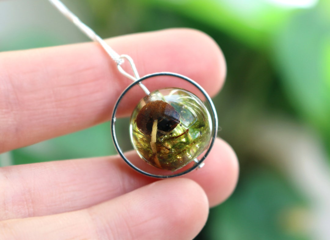 Real Mushroom Toadstool and Moss Anxiety Reducing Fidget Spinner Fiddle ...