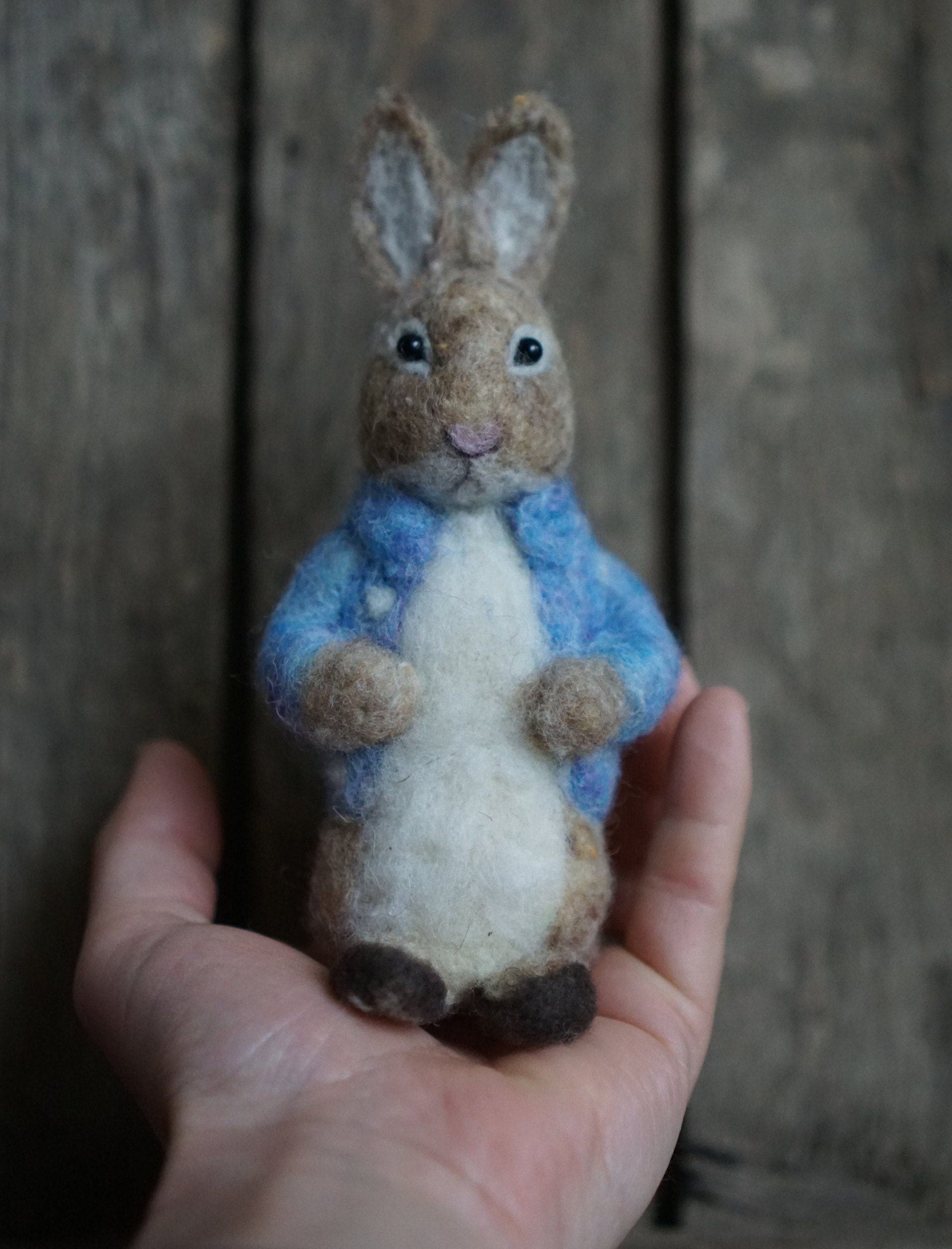 Needle Felted Peter Rabbit Classic Children's Book - Etsy