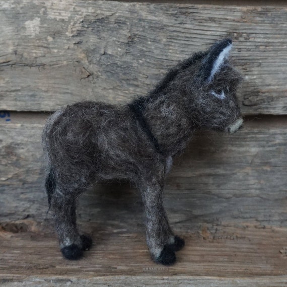 Miniature Donkey Foal