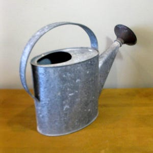 RARE Oblong Galvanized Metal Watering Can- Watering Pail- Garden Pail ...