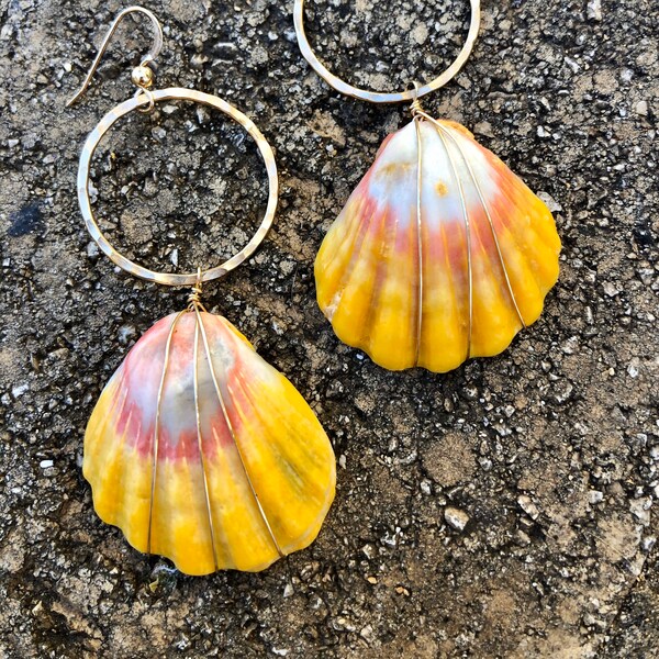 Sunrise Shell - Etsy