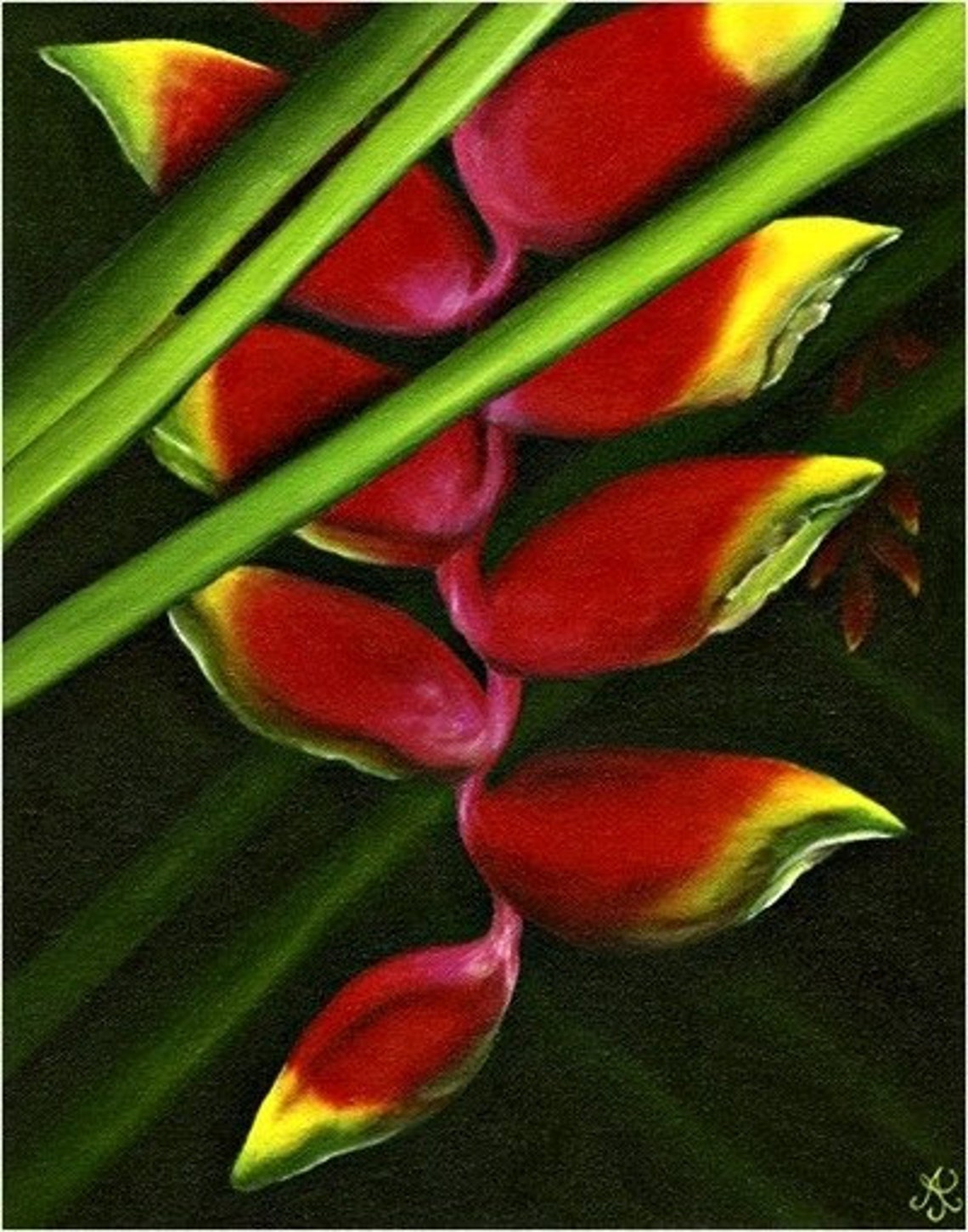 Lobster Claw Heliconia Painting - Etsy