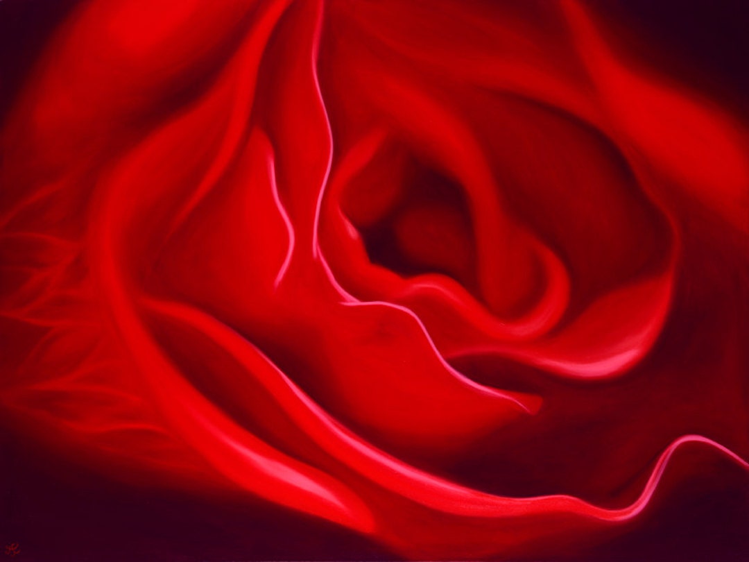 Red Rose Limited Edition Giclee - Etsy