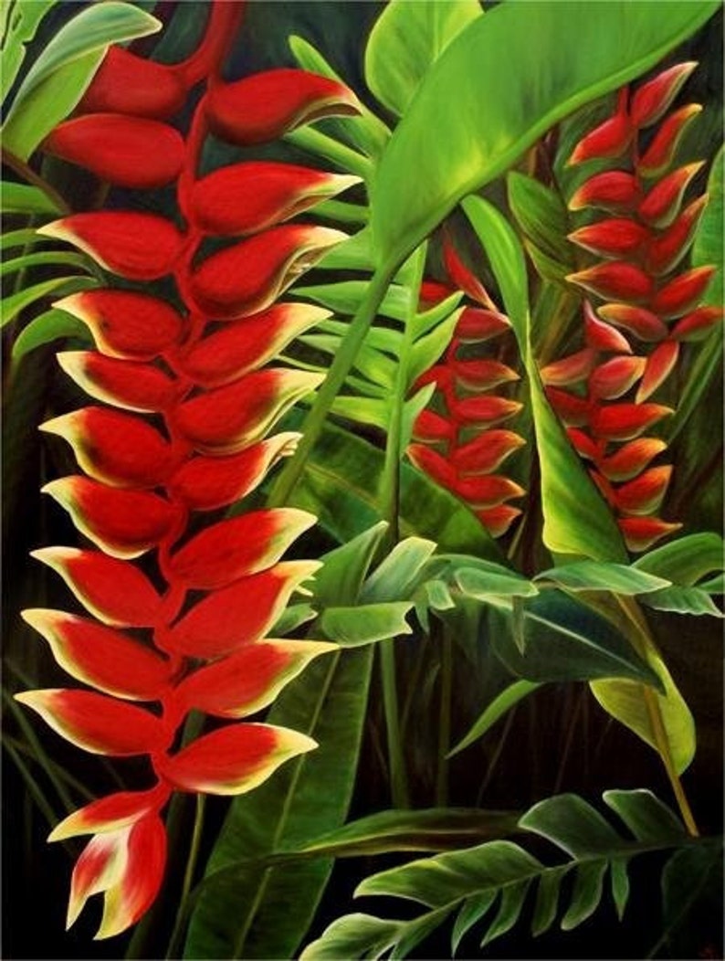 Heliconia Rostrata Limited Edition Giclee - Etsy
