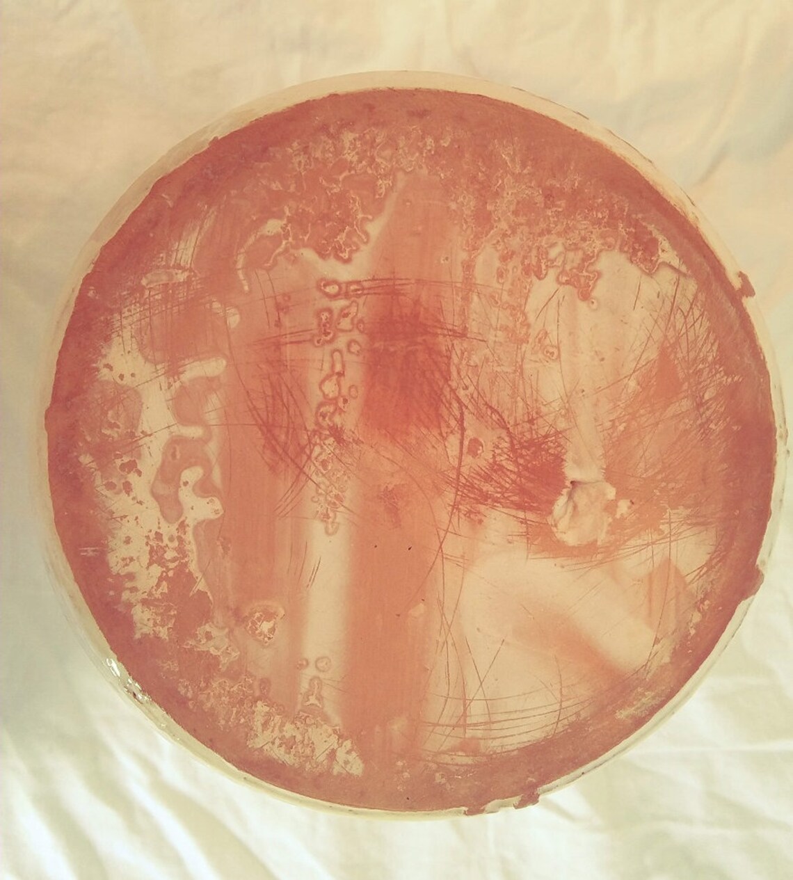 Hey Rooster Strut Your Stuff Pottery Crock Full of Pride - Etsy