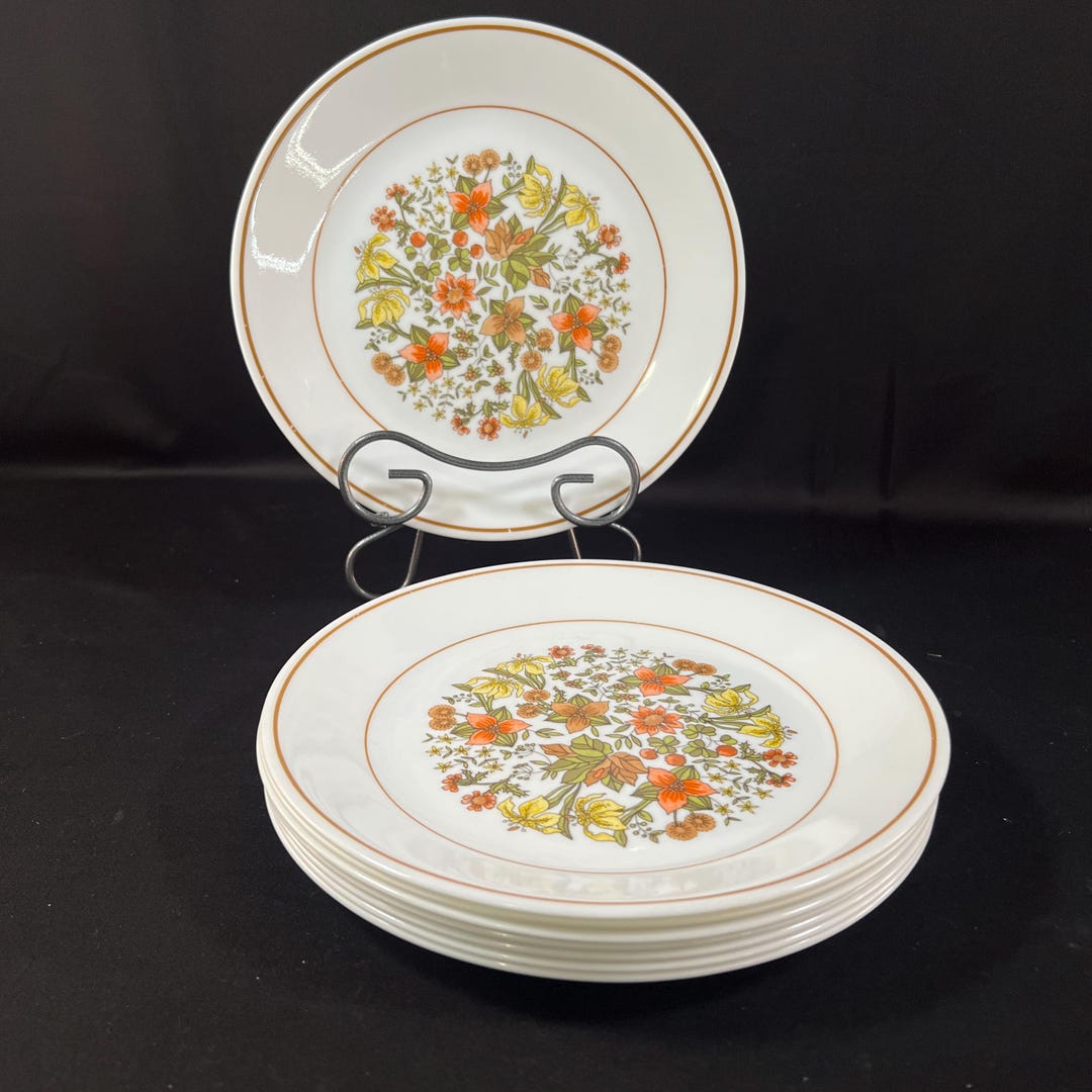 8 Luncheon/salad Plates Indian Summer by Corelle 1970's, 8-1/2" - Etsy
