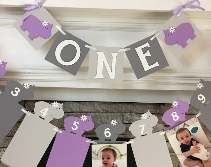 Hippo First Birthday Decorations Hip Hippo Hooray Photo Banner ONE High ...