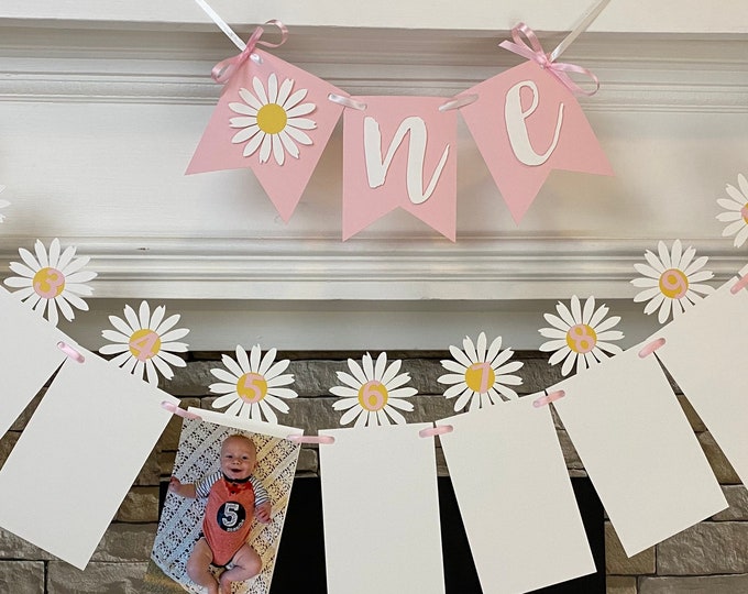 Daisy First Birthday Decorations Daisy 12 Month Photo Banner Summer ...