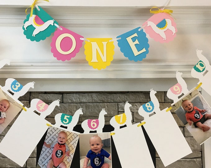 Llama First Birthday Decorations Llama Photo Banner ONE High Chair ...