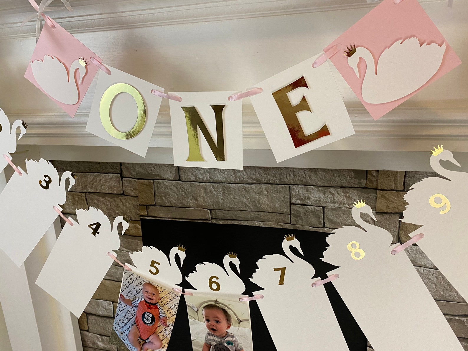 Princess Swan First Birthday Decorations Swan 12 Month Photo Banner ...