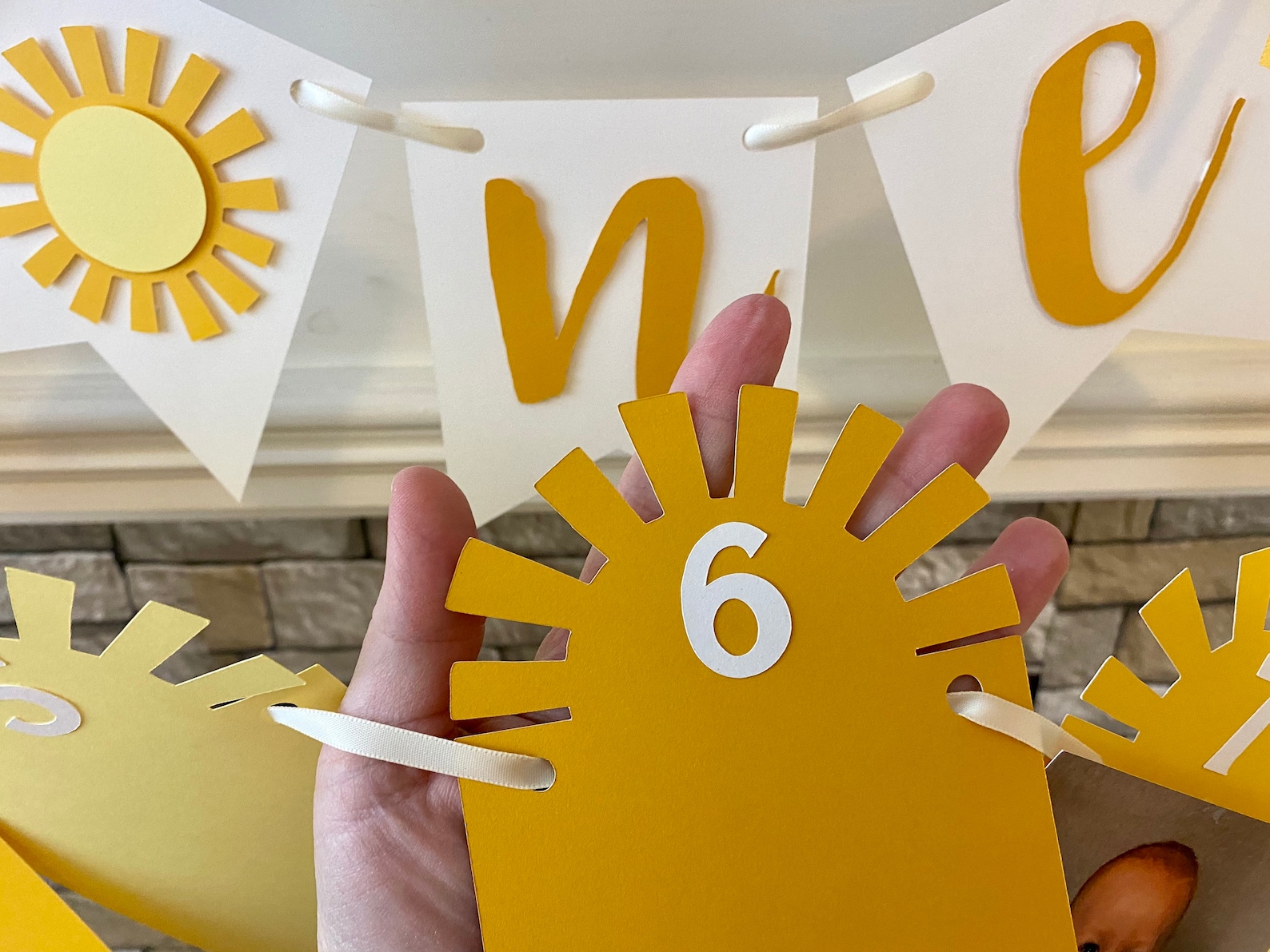 Muted You Are My Sunshine First Birthday Decorations Sunshine Banner ...