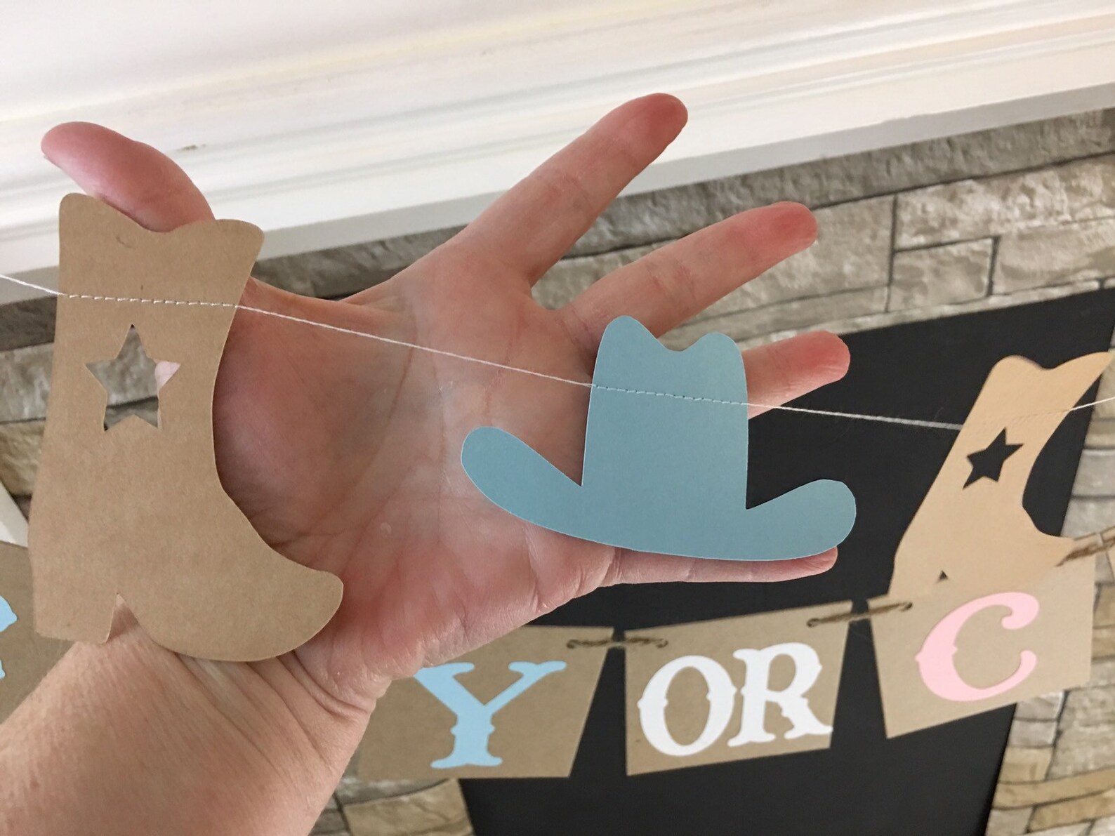 Cowboy or Cowboy Banner Gender Reveal Decorations Pink or Blue - Etsy