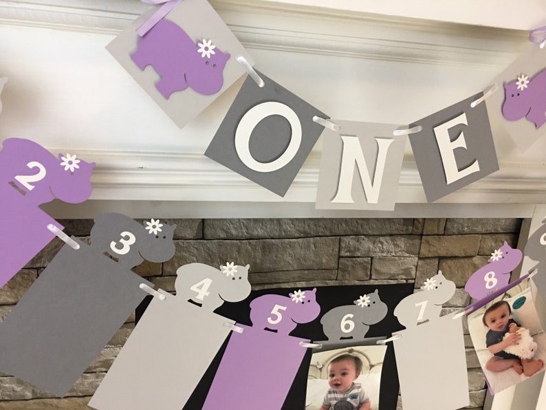 Hippo First Birthday Decorations Hip Hippo Hooray Photo Banner ONE High ...