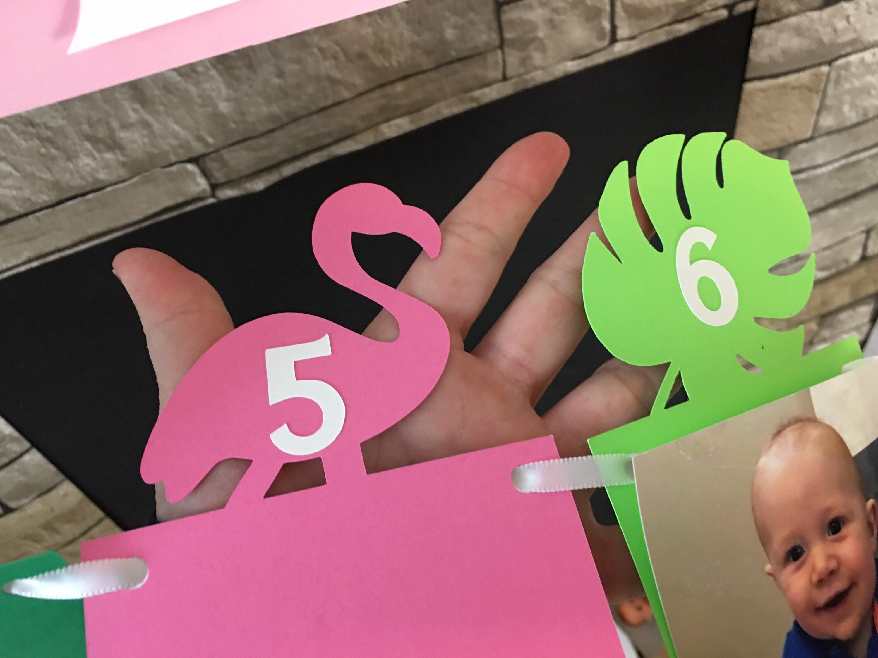 Flamingo First Birthday Decorations Flamingo 12 Month Photo | Etsy