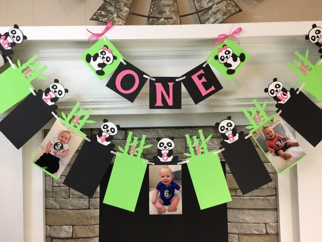 Panda First Birthday Decorations Panda 12 Month Photo Banner Panda 1st ...