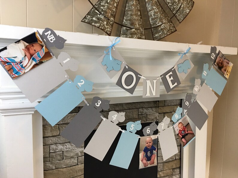 Hippo First Birthday Decorations Hip Hippo Hooray Photo Banner - Etsy