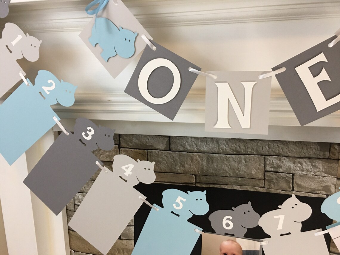 Hippo First Birthday Decorations Hip Hippo Hooray Photo Banner - Etsy