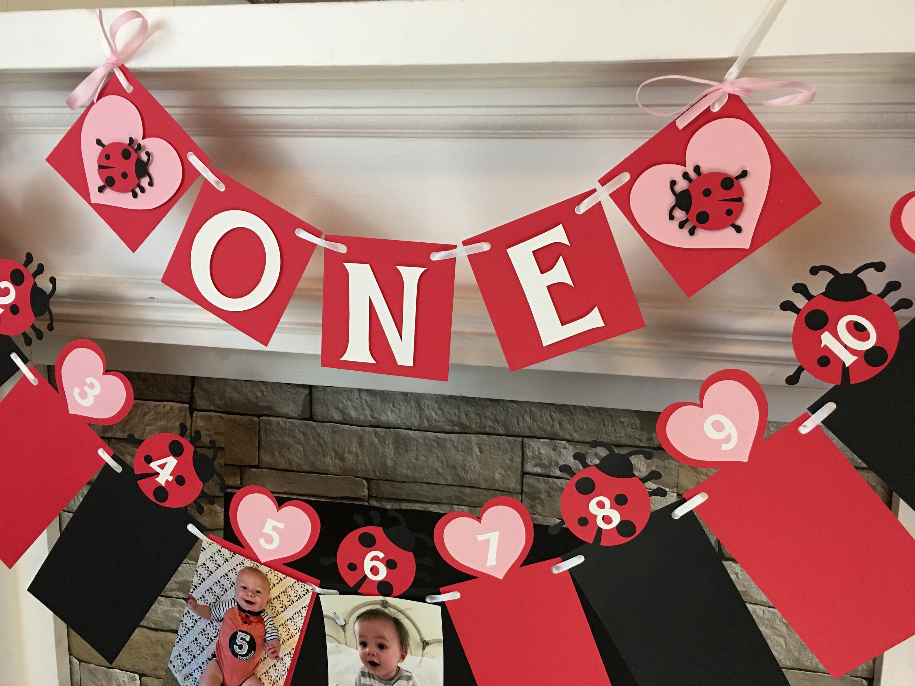Love Bug Valentine First Birthday Decorations ONE High Chair | Etsy