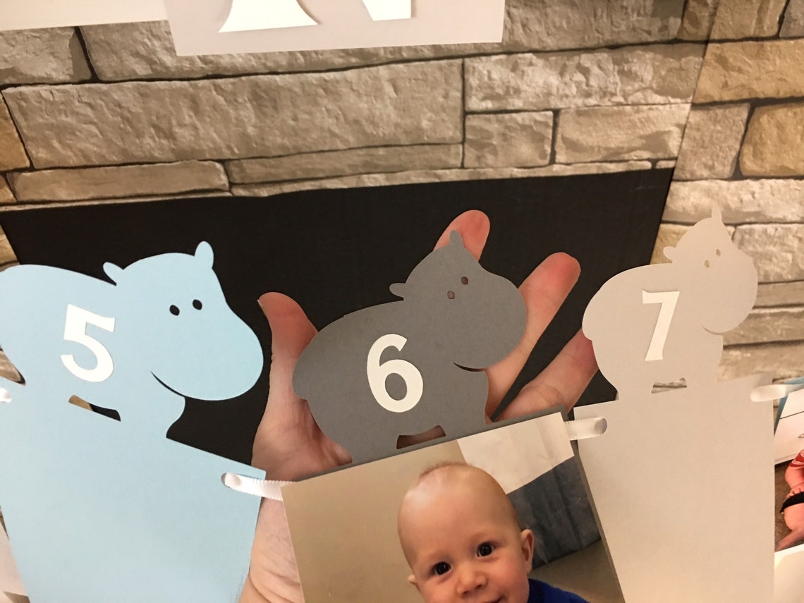 Hippo First Birthday Decorations Hip Hippo Hooray Photo Banner ONE High ...