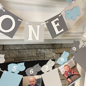 Hippo First Birthday Decorations Hip Hippo Hooray Photo Banner ONE High ...
