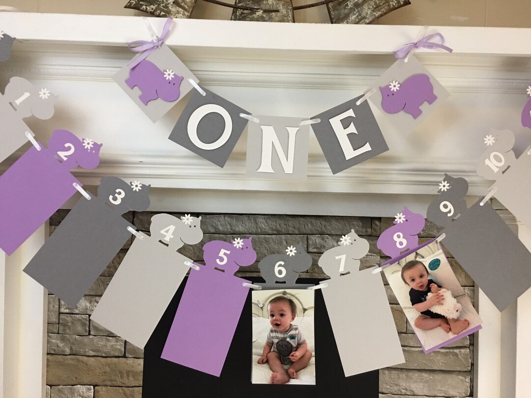 Hippo First Birthday Decorations Hip Hippo Hooray Photo Banner ONE High ...