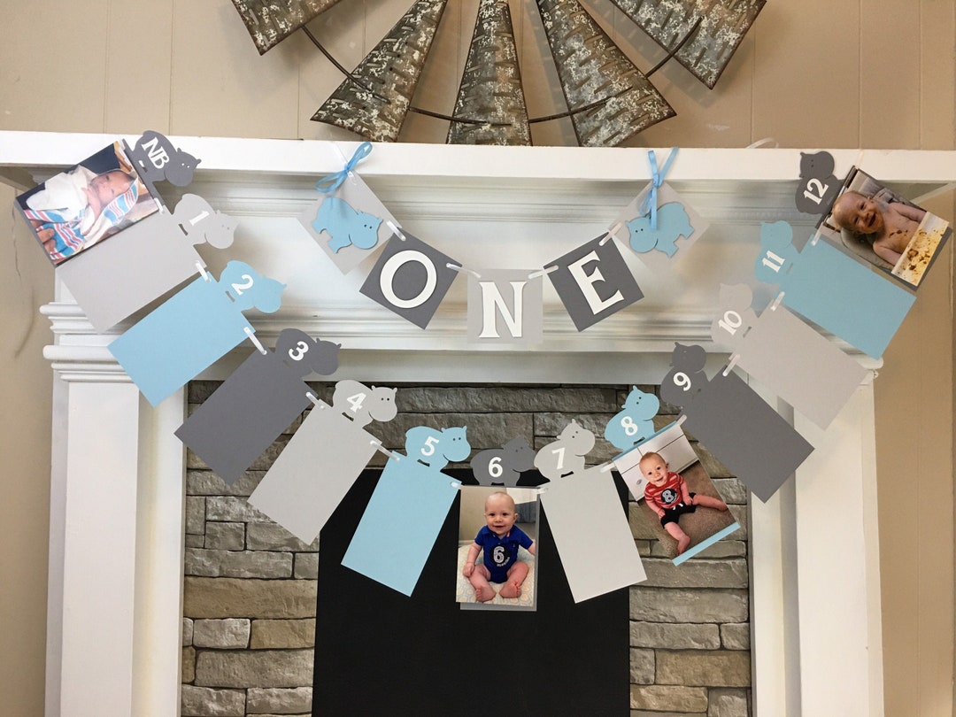 Hippo First Birthday Decorations Hip Hippo Hooray Photo Banner ONE High ...