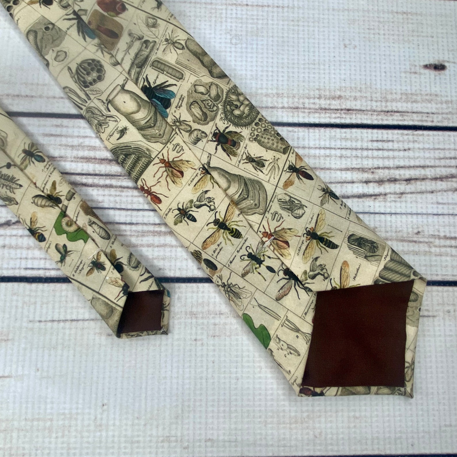 Entomology Tie, Science Tie, Bug Necktie, Eclectic, Biology Necktie ...