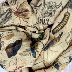 Biology Scarf, Infinity Scarf, Entomology Gift for Her, Chiffon Scarf ...