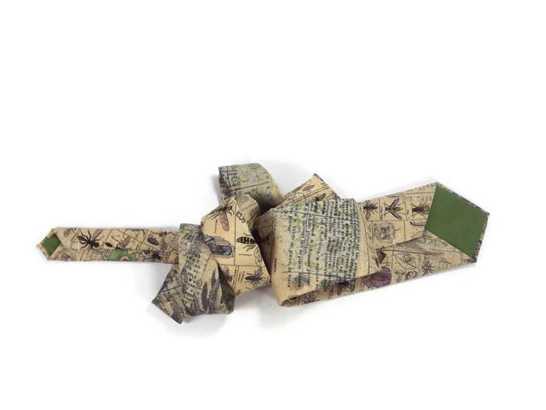 Entomology Tie Science Tie Bug Necktie Eclectic Biology - Etsy