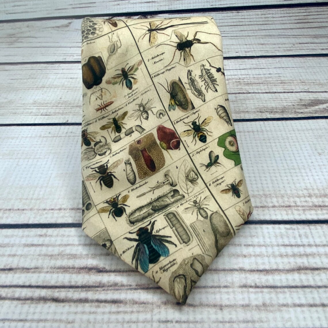 Entomology Tie, Science Tie, Bug Necktie, Eclectic, Biology Necktie ...
