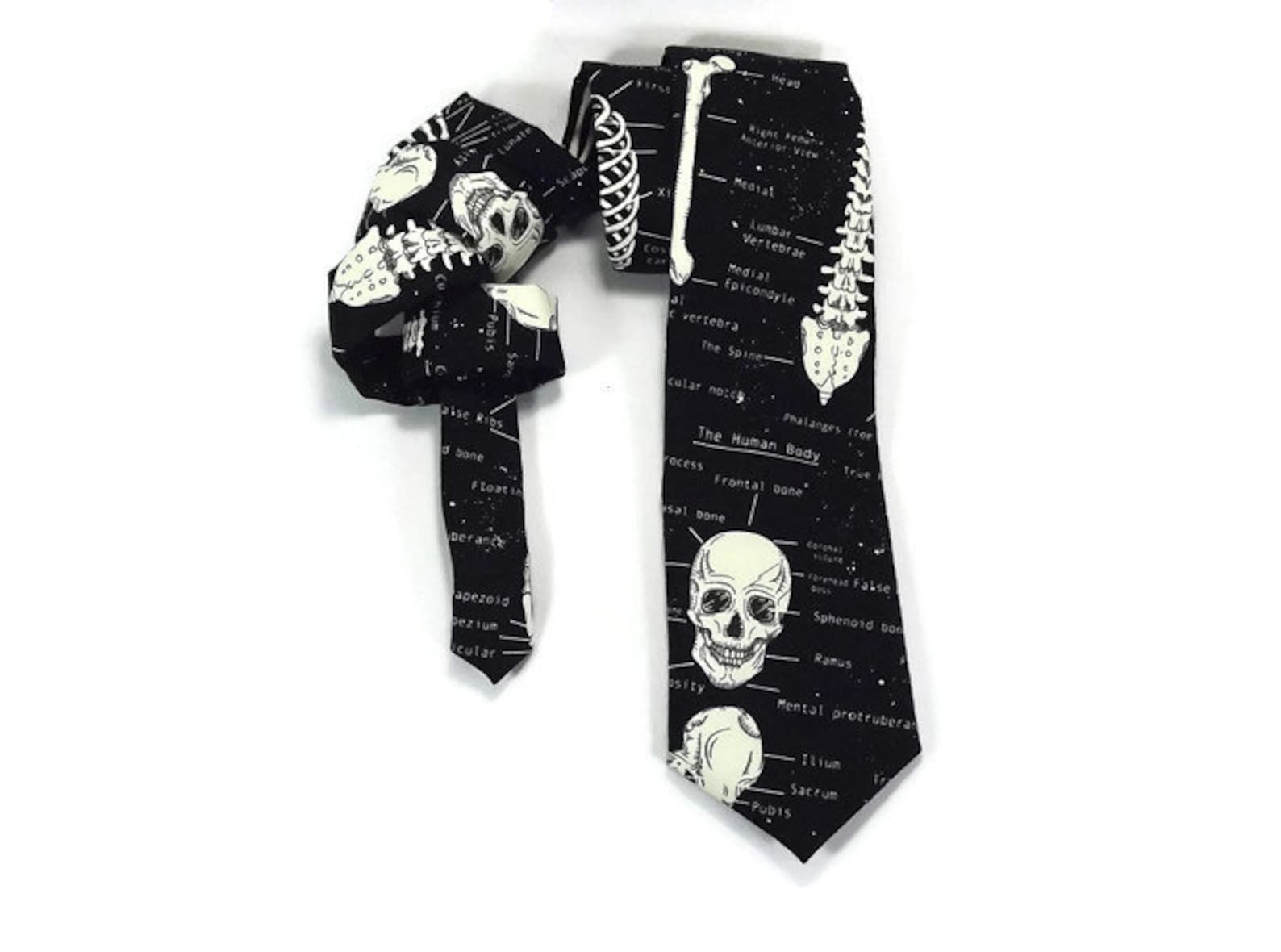Skeleton Necktie Orthopedic Tie Chiropractic Tie Medical - Etsy