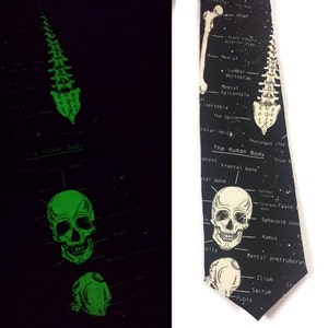 Skeleton Necktie, Orthopedic Tie, Chiropractic Tie, Medical Necktie ...