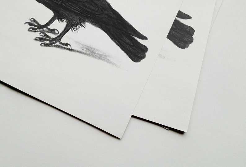 Raven Vintage Illustration Art Print | Halloween Art | Ornithology Home ...