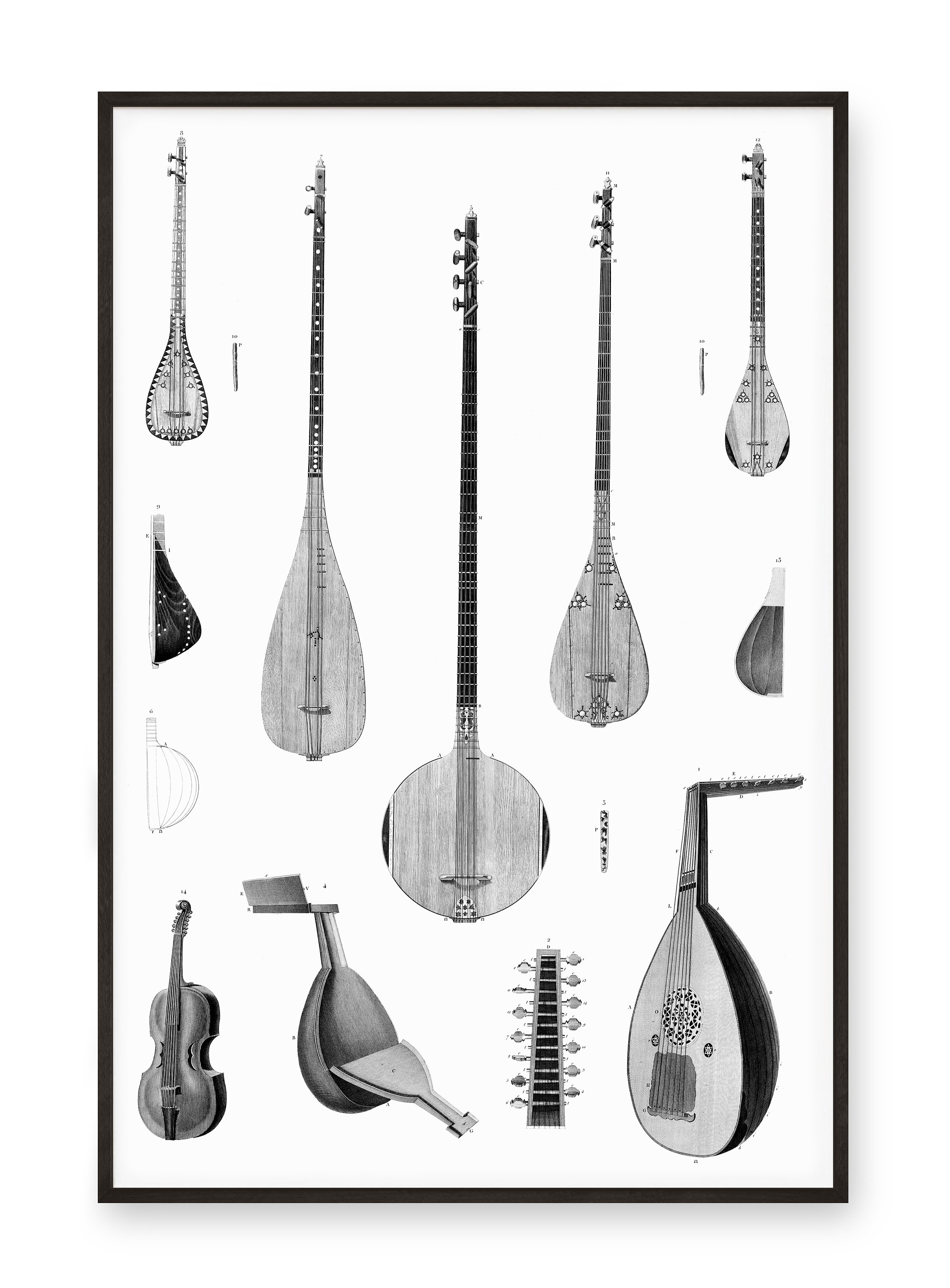 Medieval Stringed Instrument Vintage Illustration Art Print - Etsy