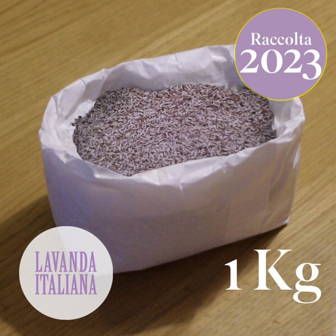 Dried Lavender Bulk 1 Kg Cultivated in Italy 2023 - Etsy