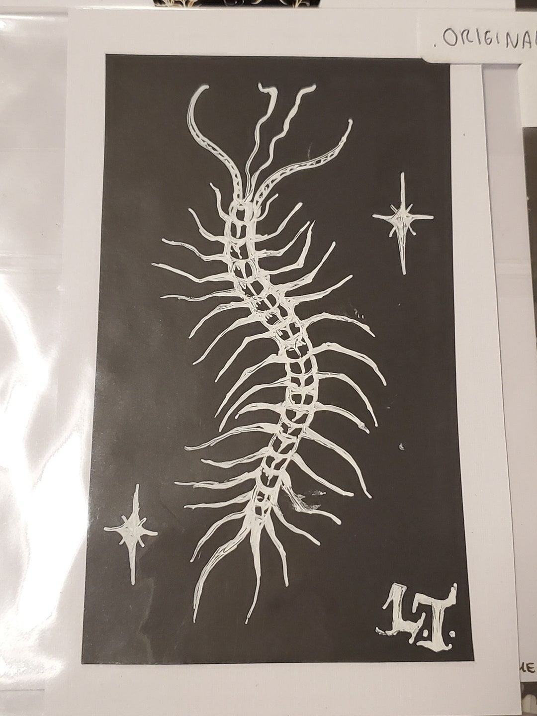 Centipede Drawing Original Art Creepy Goth Inktober Halloween Sketch - Etsy
