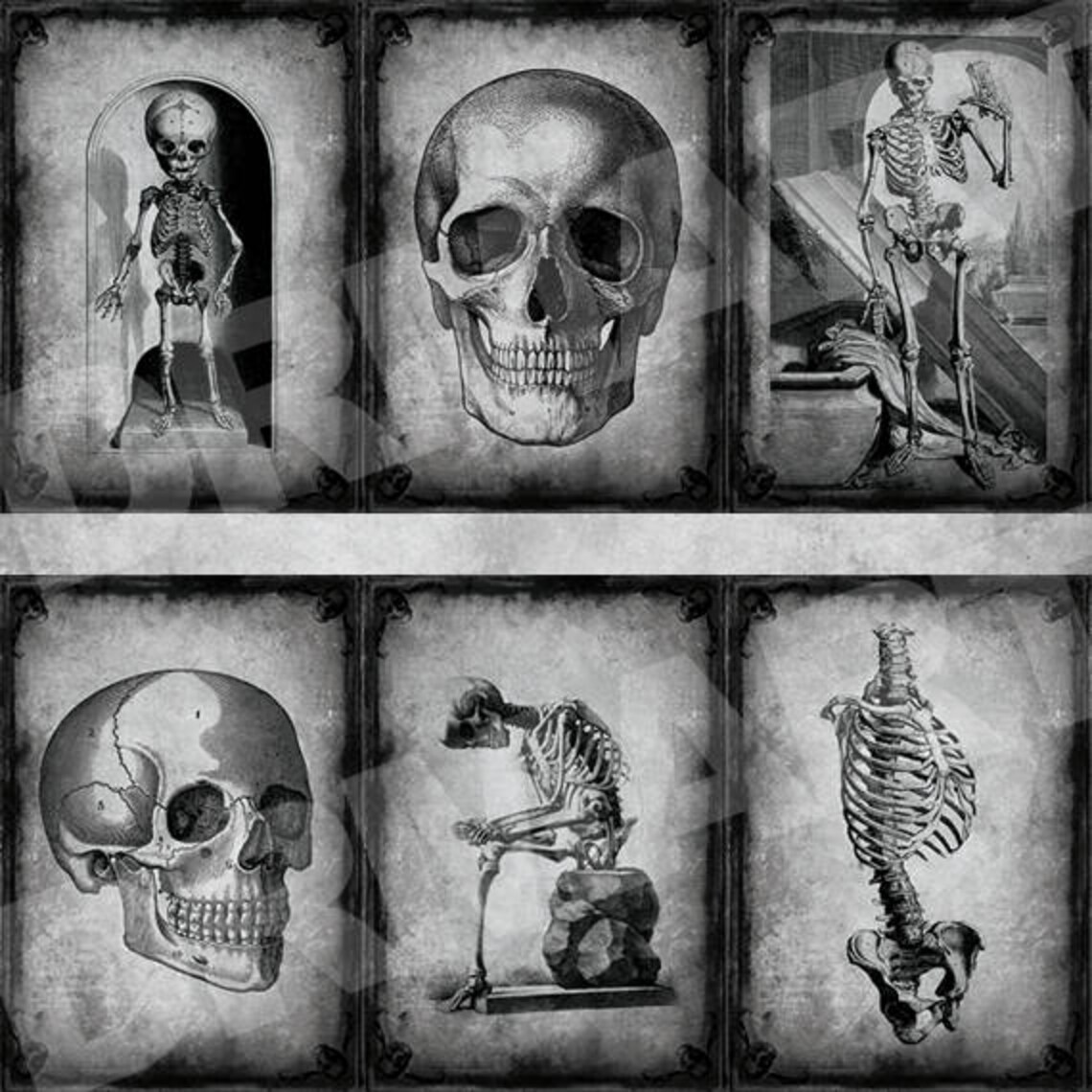 Macabre Gothic Digital Paper Printable Set Ephemera | Etsy Canada