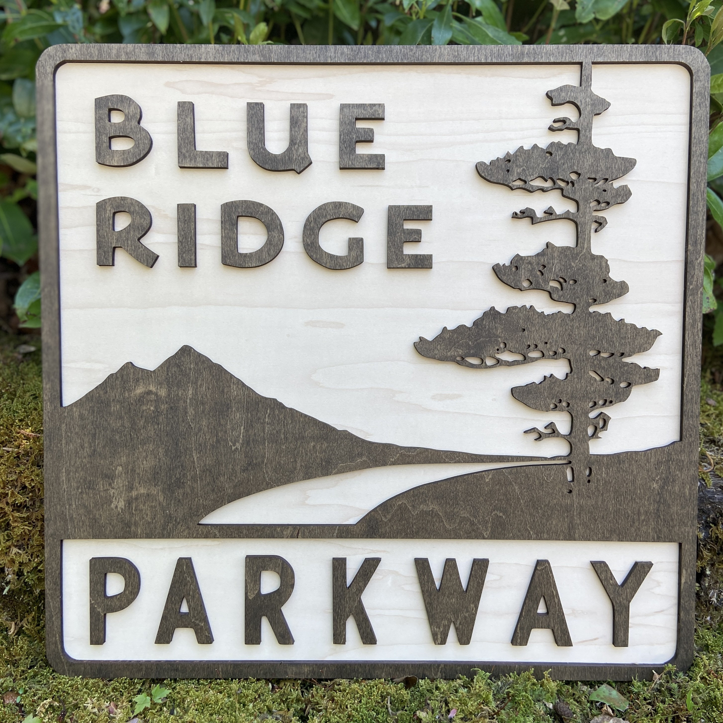 Blue Ridge Parkway Sign 18 W Large Blue Ridge Parkway Art Blue Ridge ...