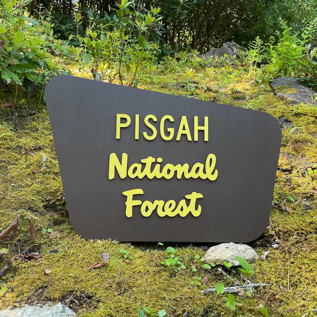 Pisgah National Forest Sign 27 W PNF Sign Pisgah Sign PNF Art Pisgah ...
