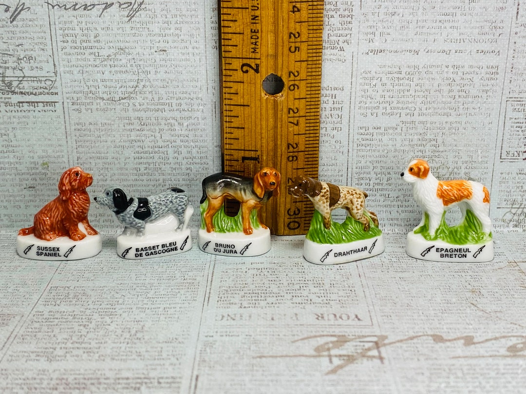 HUNTING DOG Breeds Brittany Sussex Spaniel German Wirehaired Pointer ...