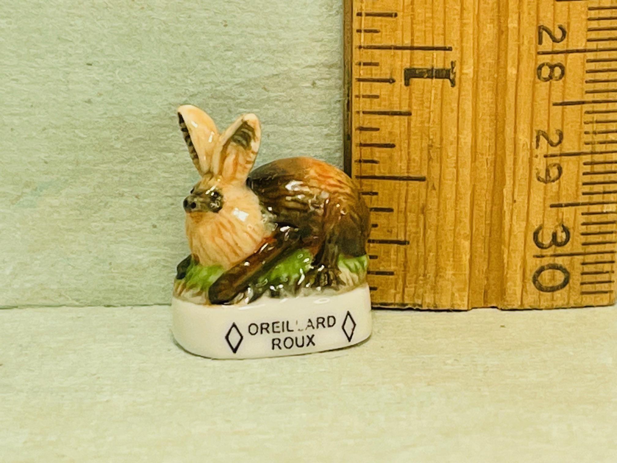 Rodents Zoo Animals: Flying Squirrel Shrew Chinchilla Red-eared Bat ...