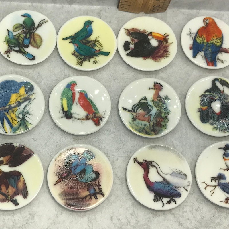 Dishes Blue Bird - Etsy